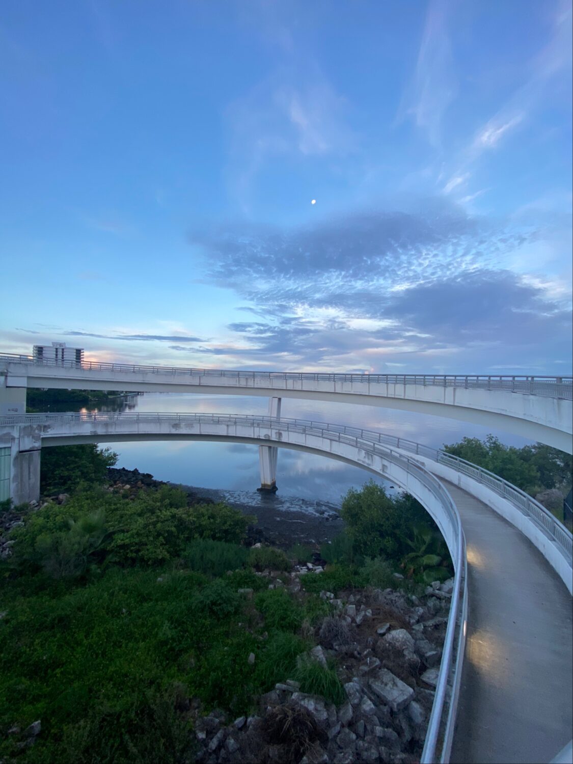 part of the trail near the bridge with twisting or circular paths