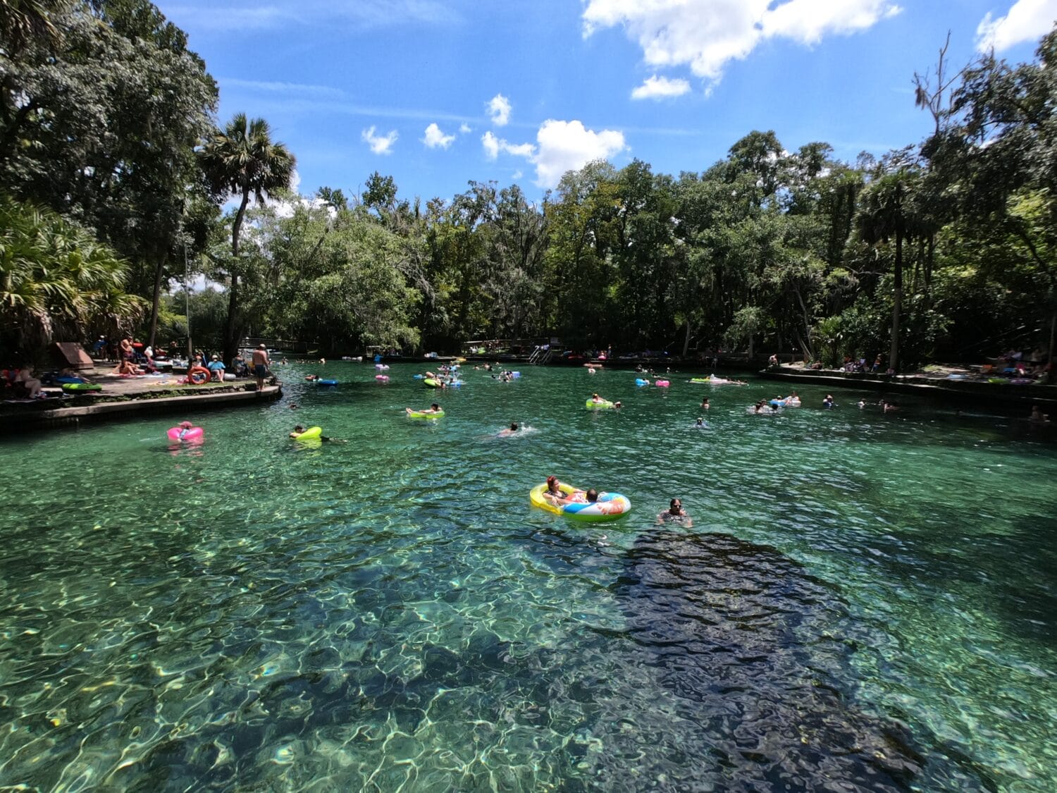 people enjoying a swim in the wekiva river