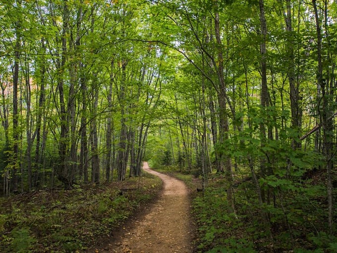 Pictured Rocks National Lakeshore 3