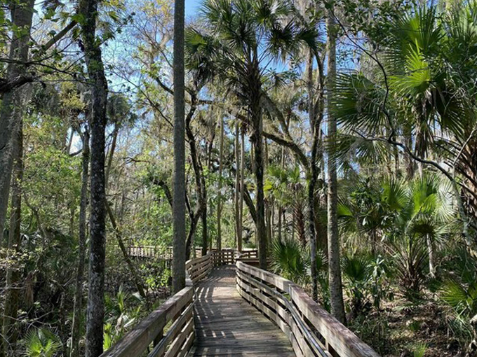 Pine island hiking trail 3