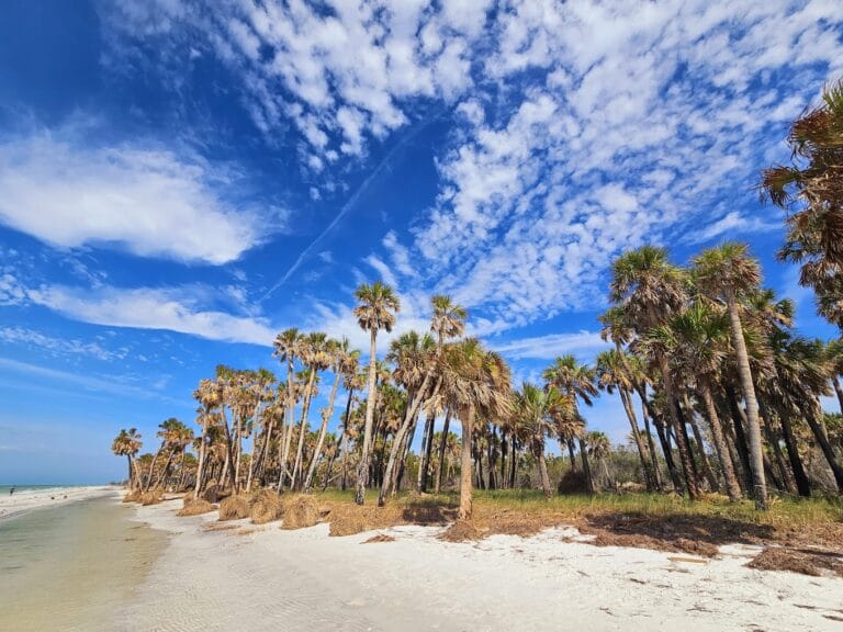 Take A Ferry To Anclote Key Preserve And Revel In Miles Of Sandy ...