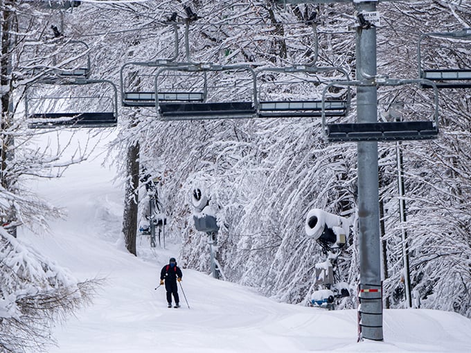 Rustic Barn Airbnb 3