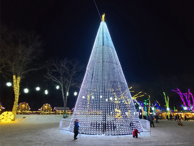 Sam's Christmas Village 8