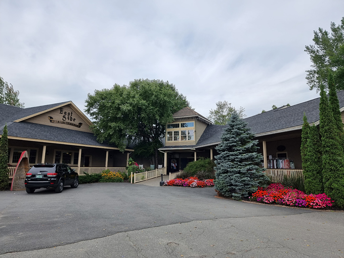 scenic drive in vermont 8