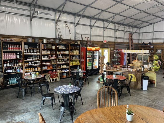 seminole heights general store 8