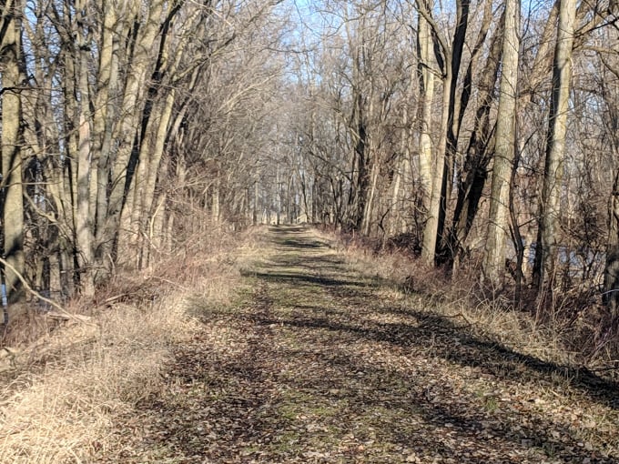 Shiawassee National Wildlife Refuge 6