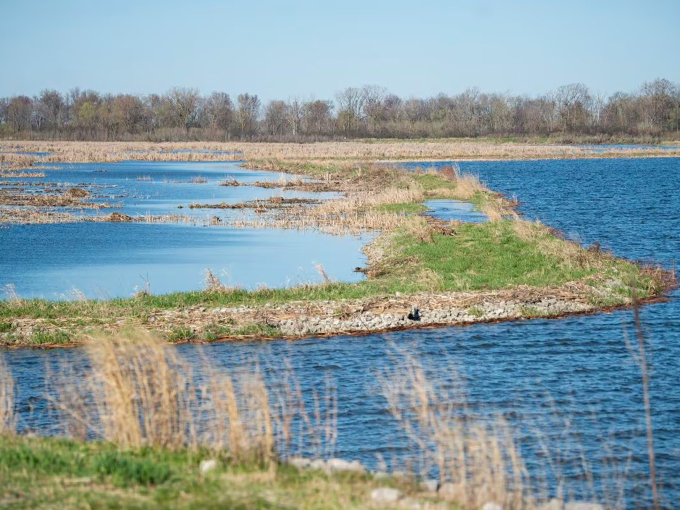 Shiawassee National Wildlife Refuge 7