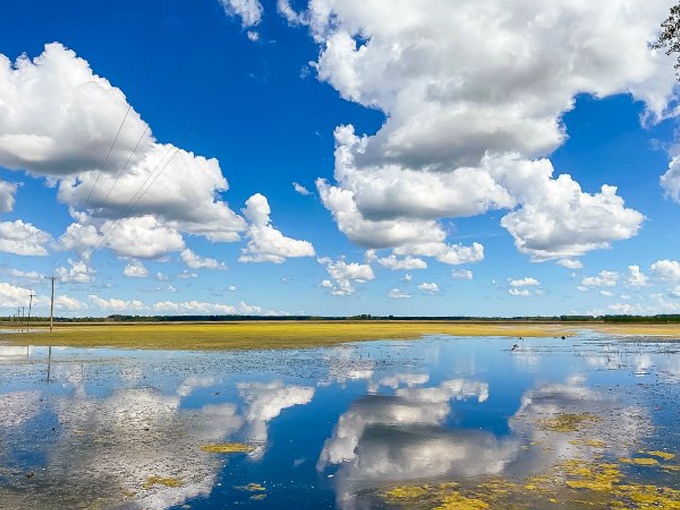 Shiawassee National Wildlife Refuge 8