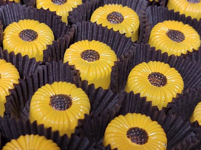 St. Croix Chocolate Co 6