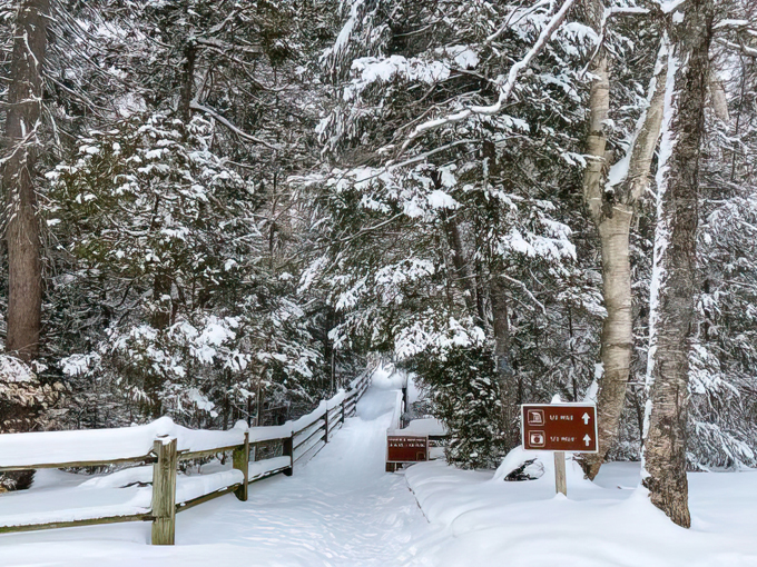 Tahquamenon Falls State Park 6