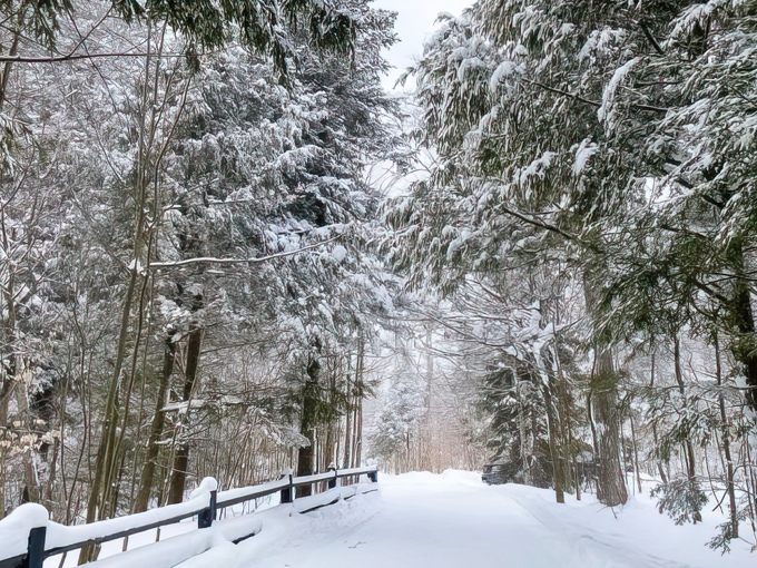 Tahquamenon Falls State Park 7