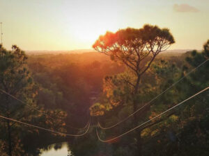 Soar Over Florida's Longest Zipline At The Canyons Zip Line And ...