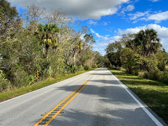 The Martin Grade Scenic Highway 2