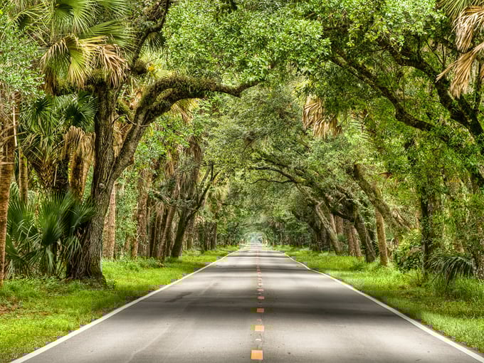The Martin Grade Scenic Highway 3