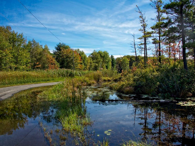 The Martin Grade Scenic Highway 4