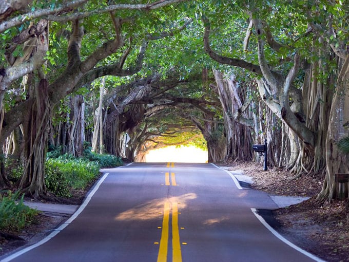 The Martin Grade Scenic Highway 5