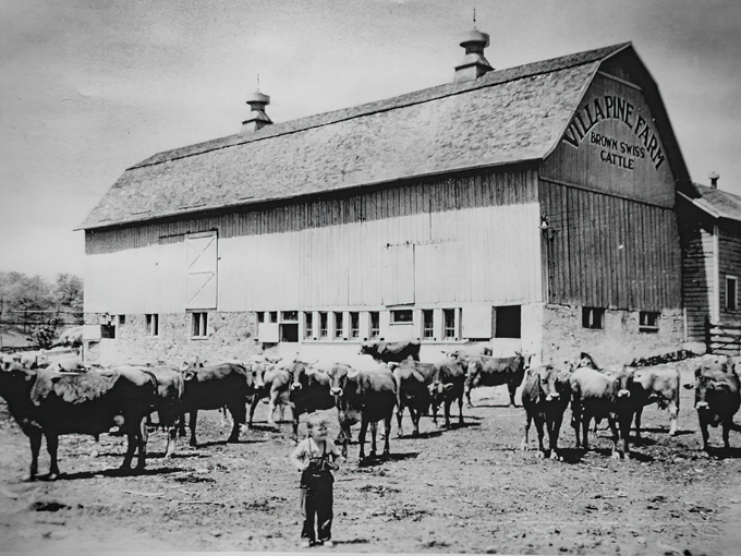 the smiley barn toy candy store 2