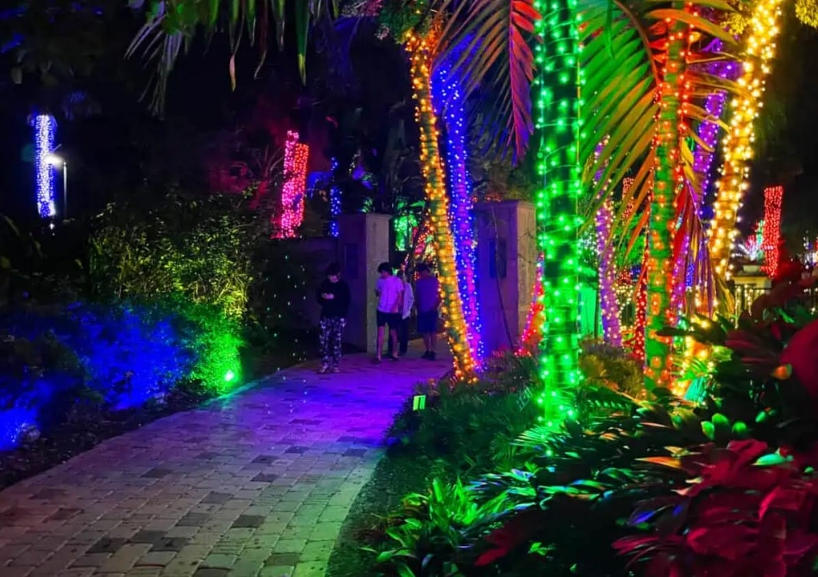 the illuminated pathway of the garden