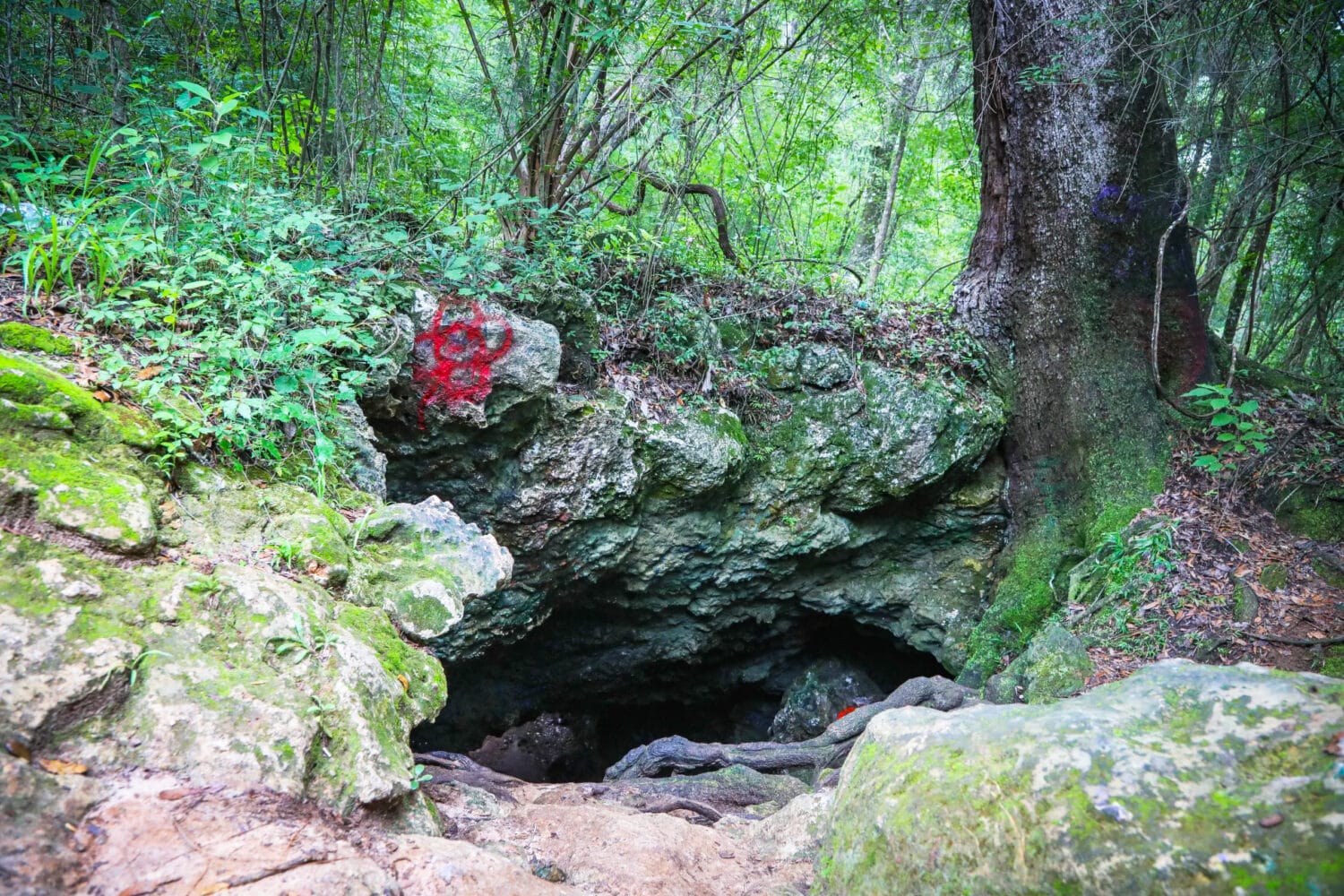 The opening to the mysterious cave