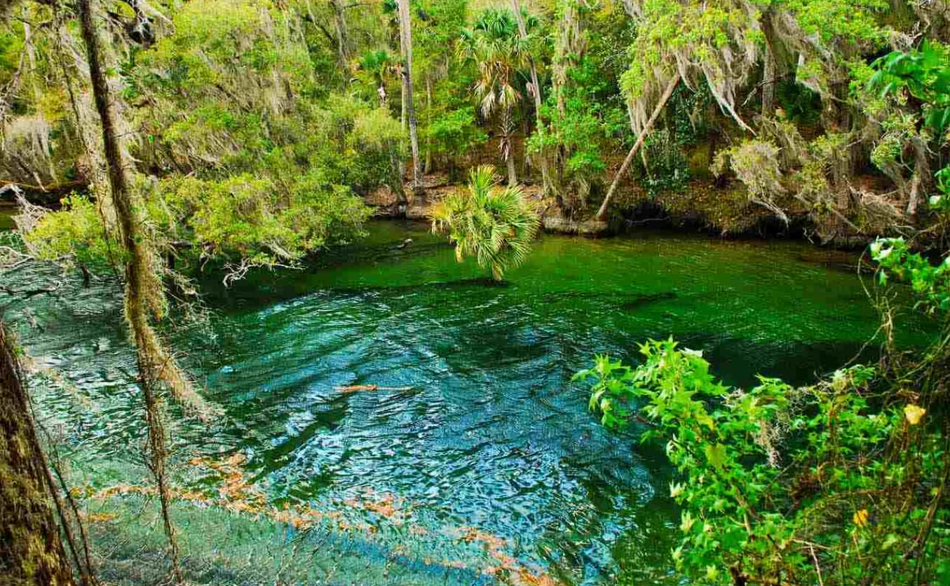 the parks stunning waters