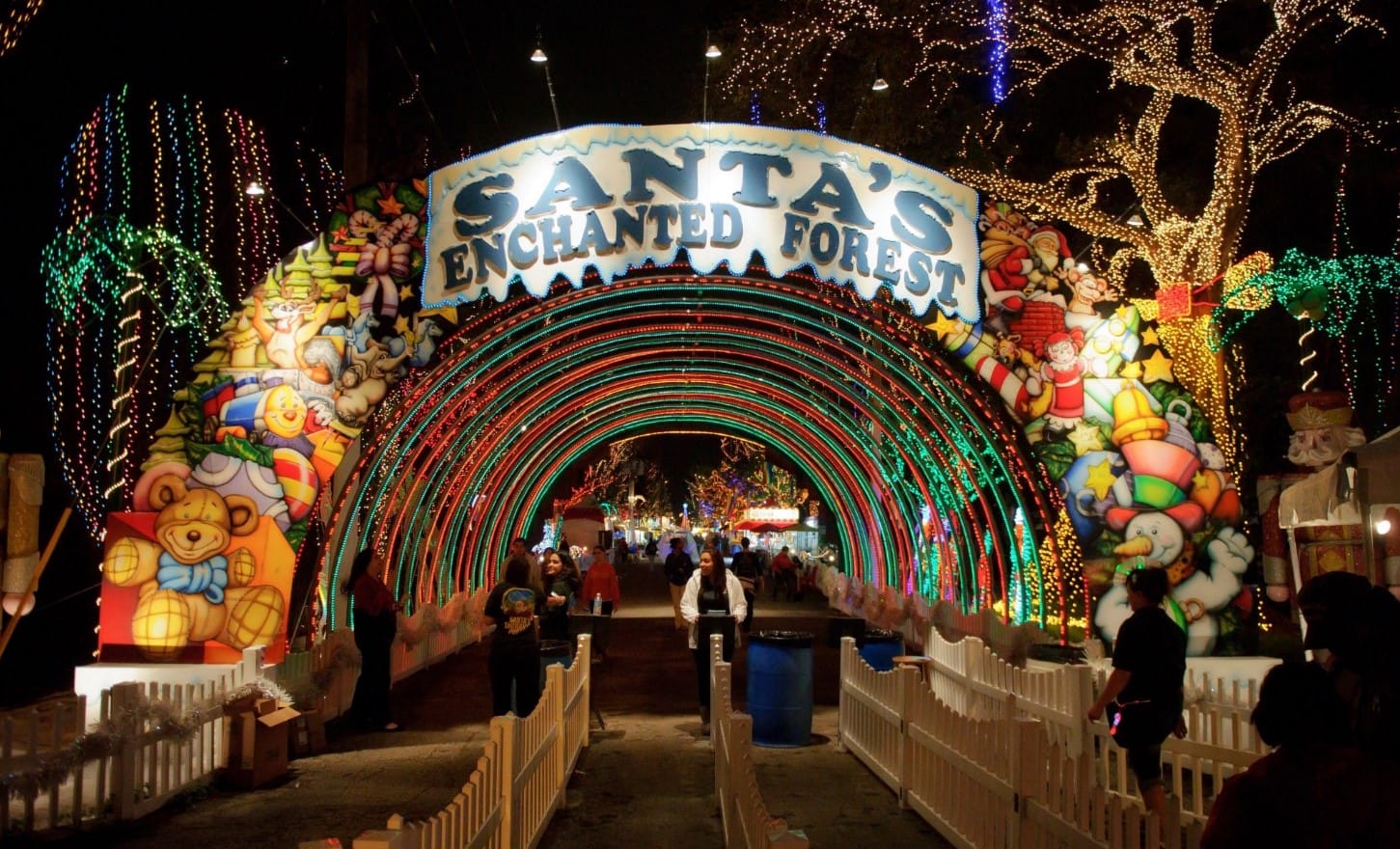 the spectacular dazzling lights of santas enchanted forest