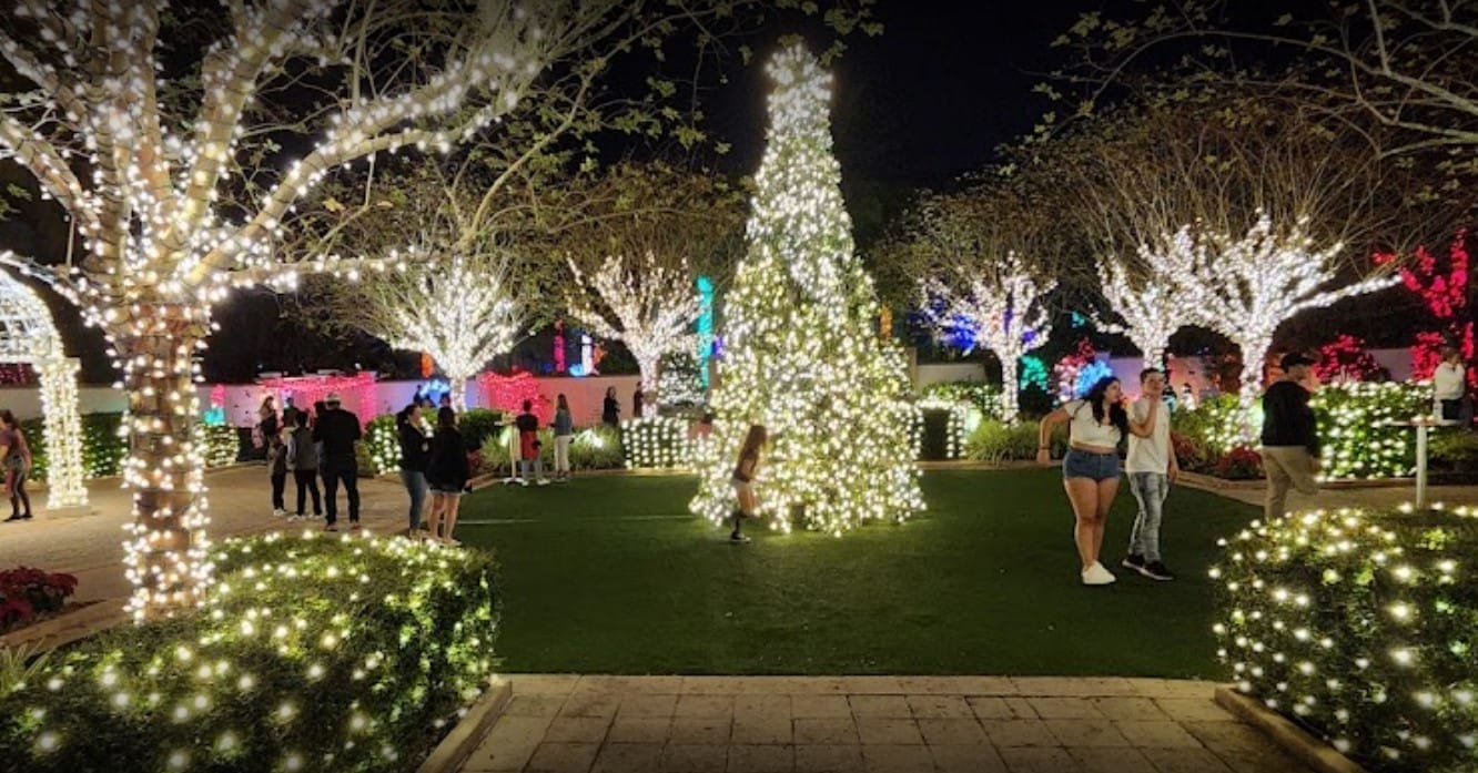 the visually amazing wedding garden