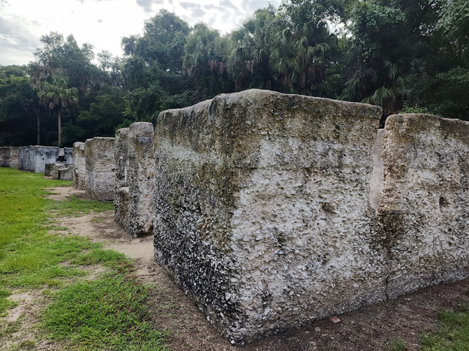 Timucuan Ecological and Historical Preserve 6