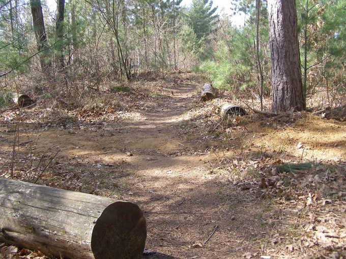 ultimate spooky adventure 1