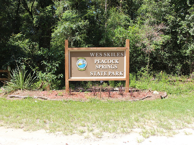 Wes Skiles Peacock Springs State Park 1