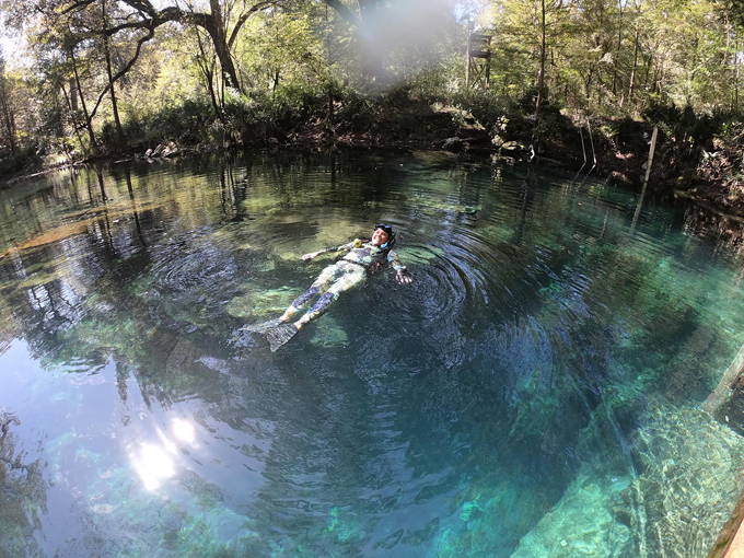 Wes Skiles Peacock Springs State Park 2