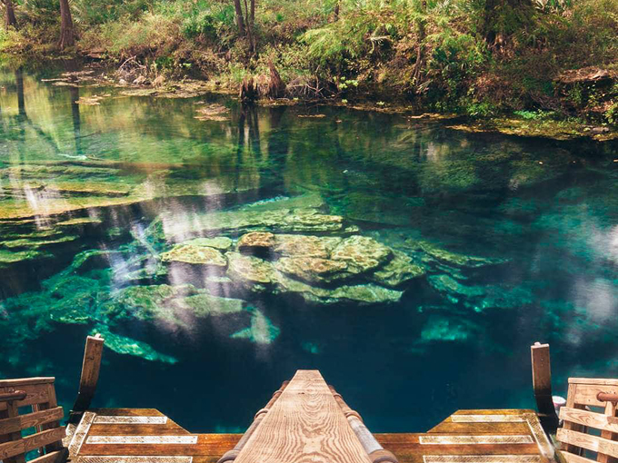 Wes Skiles Peacock Springs State Park 3