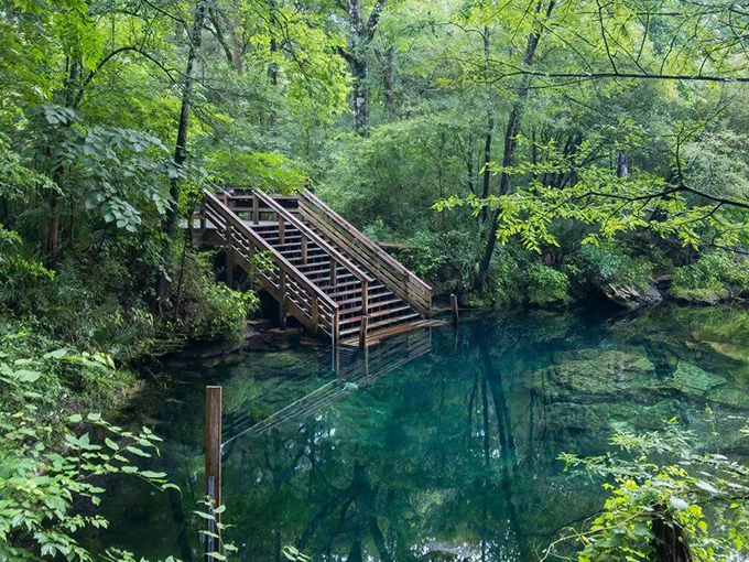 Wes Skiles Peacock Springs State Park 8