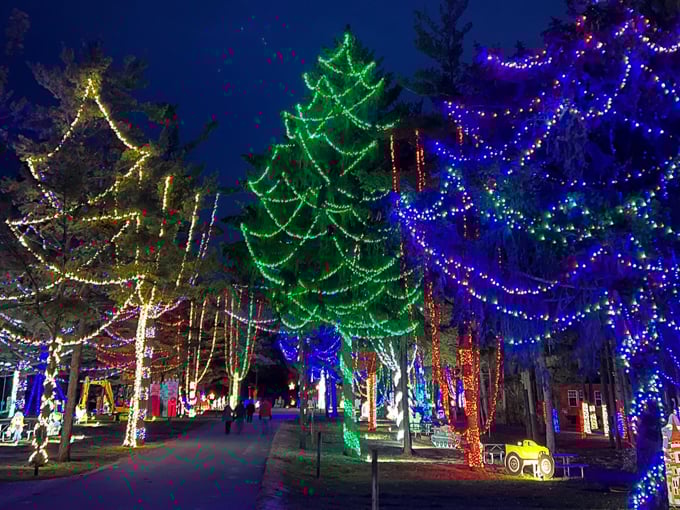 Wisconsin Christmas Carnival of Lights 2