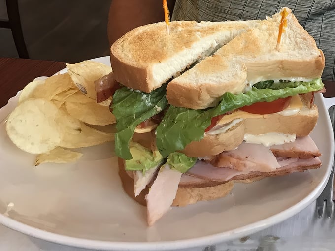 wisteria twig tea room and cafe 5