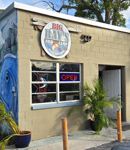 best grouper sandwich florida ftr