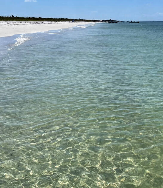 caladesi island by foot ftr