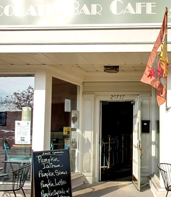 chocolate bar in michigan ftr