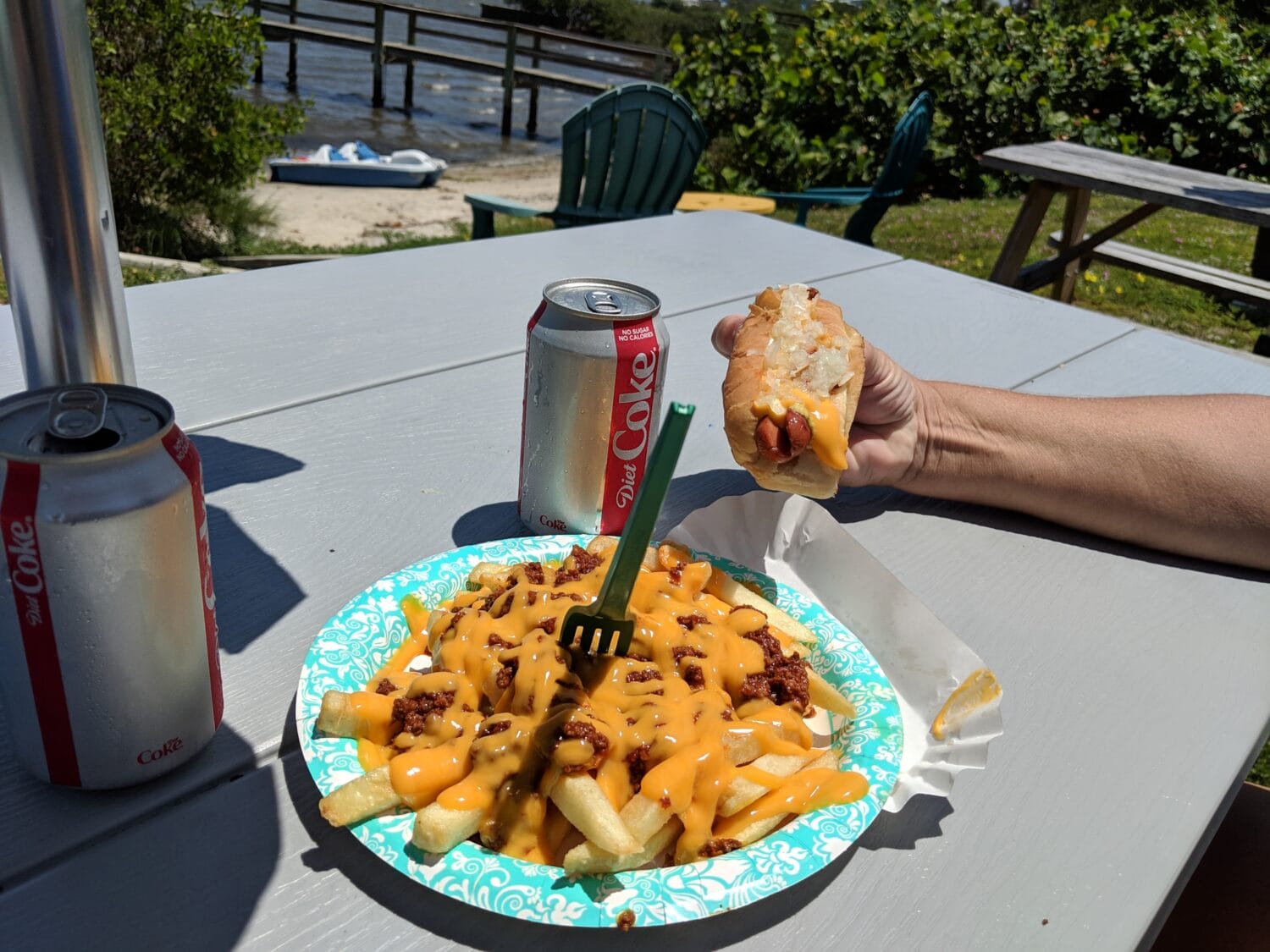 crispy fries with a blanket of warm melting cheese and a hotdog sandwich