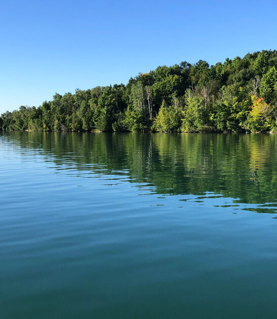 crystal clear lake michigan ftr