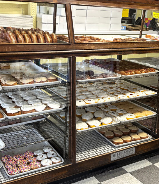 delicious donut trail minnesota ftr