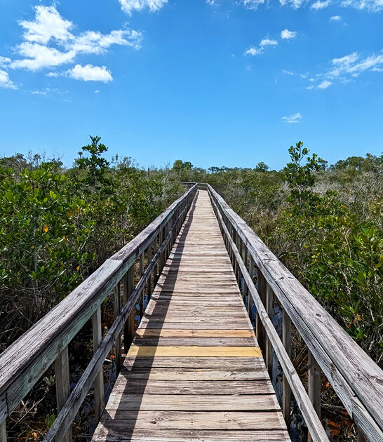 easy boardwalk trail florida ftr