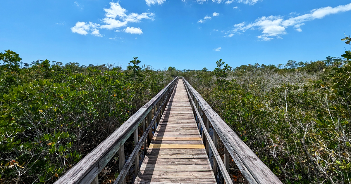 Explore Florida's Most Stunning Views On This Easy Half-Mile Boardwalk ...