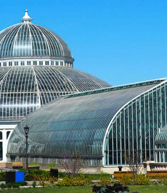 enchanting free zoo minnesota ftr