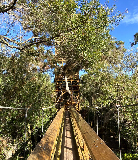 exhilarating hiking bridges in florida FTR