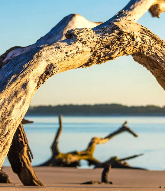 florida beaches road trip ftr