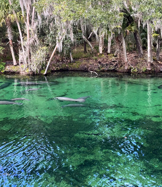florida emerald lagoon trail FTR