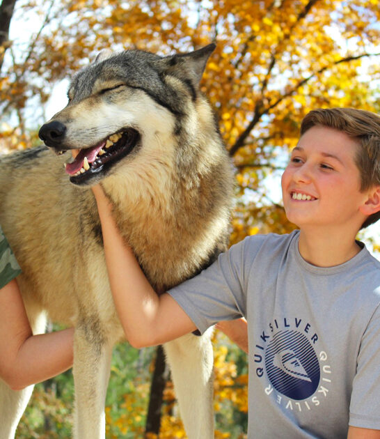 florida magical places ftr