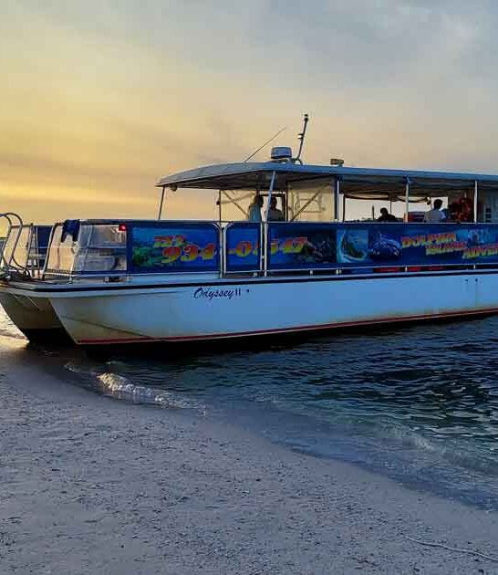 giant shells odyssey cruises ftr