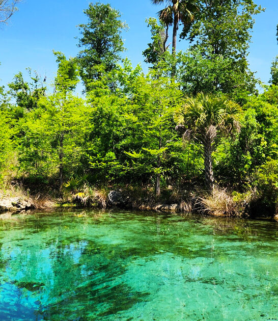 hidden swimming hole florida ftr