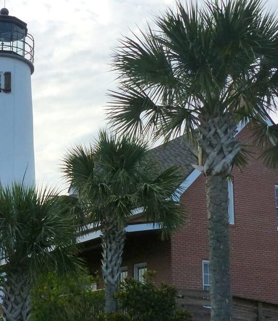 lighthouse road trip florida ftr